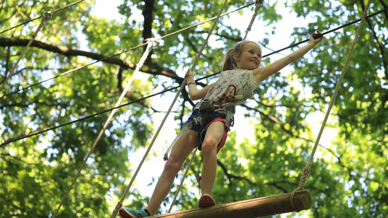 Accrobranche — Dock79