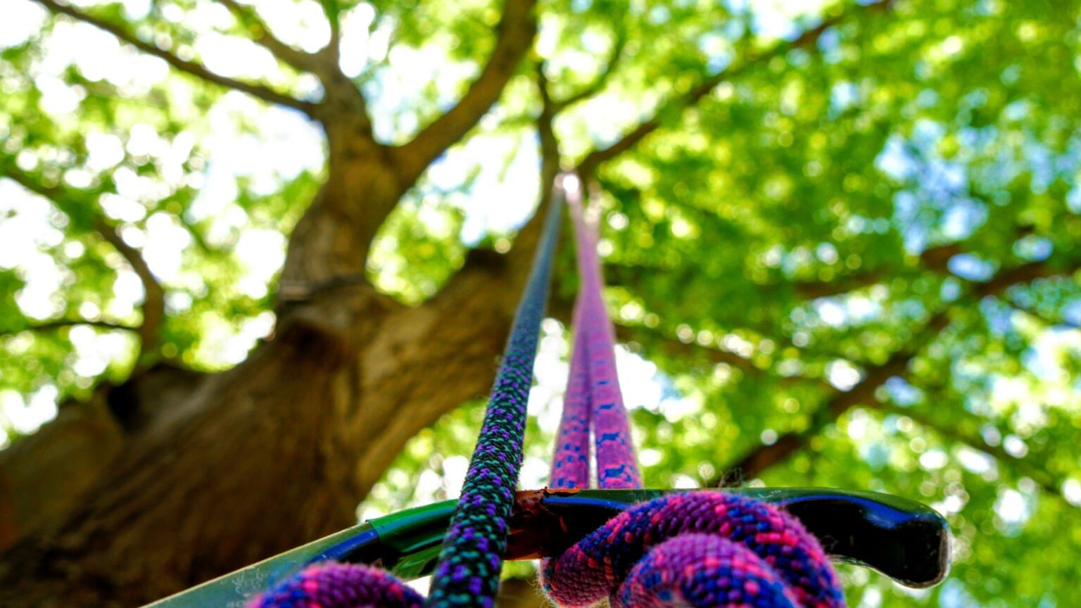 Dock79 — L'aventure est dans notre nature!